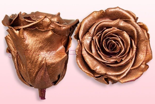Rosas preservadas - Cobre metalizado – Sweet Colours